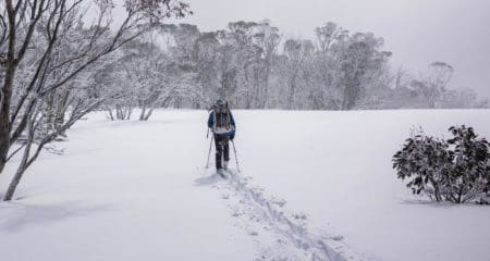 Why Australian ALPS receive more snowfall than Switzerland ...