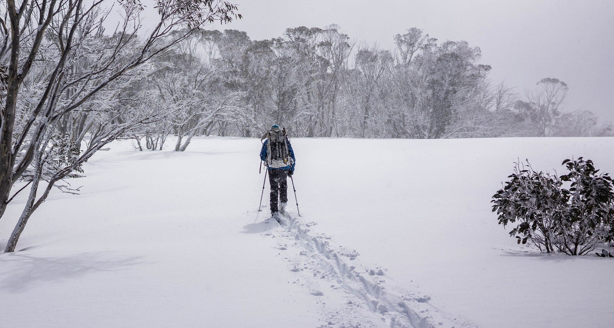 Why Australian ALPS receive more snowfall than Switzerland ...